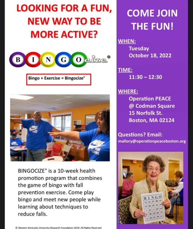 Operation P.E.A.C.E. Boston – Partnerships in Education and Community ...